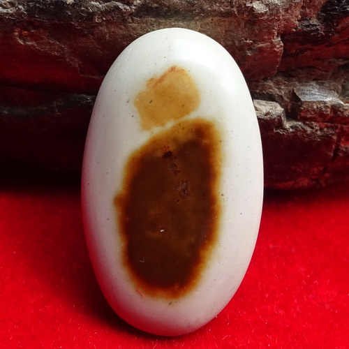 Mustika Pesugihan Kantong Semar - Pusaka Dunia