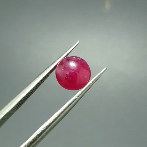 Merah Delima Kecil Yang Mempesona - Pusaka Dunia