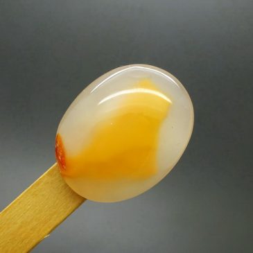 Mustika Rejeki Kantong Semar Kuning