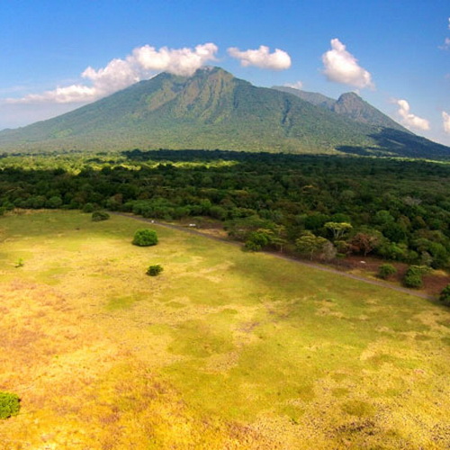 Pusaka Gunung Baluran - Pusaka Dunia