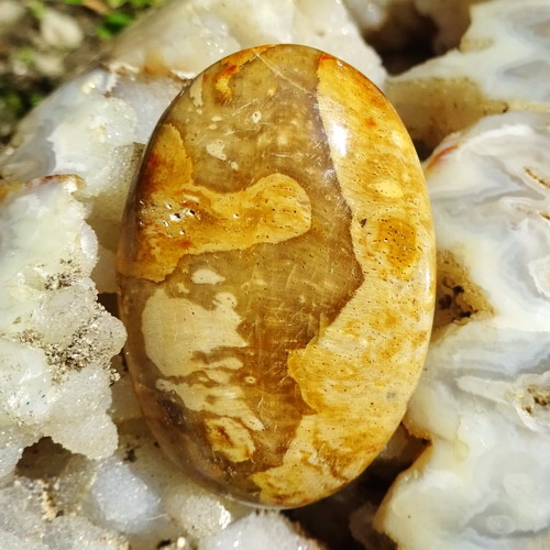 Mustika Ajian Semar Kuning - Pusaka Dunia