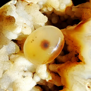 Mustika Mata Gaib Pantai Selamaran - Pusaka Dunia