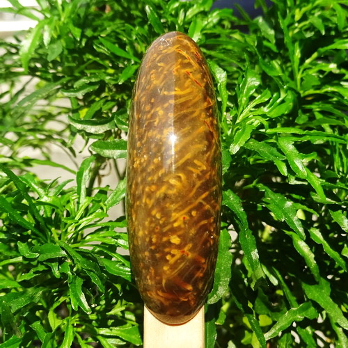 Mustika Macan Loreng Lawu - Pusaka Dunia