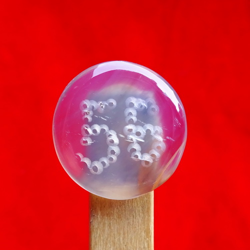 Mustika Angka 56 Penunjang Jabatan - Pusaka Dunia