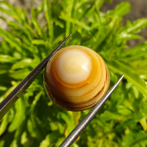 Mustika Puser Bumi Asli Natural - Pusaka Dunia