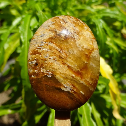 Mustika Khodam Singa Ganas - Pusaka Dunia