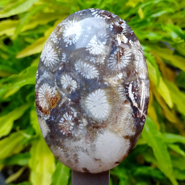 Mustika Sisik Ular Teratai Keramat - Pusaka Dunia