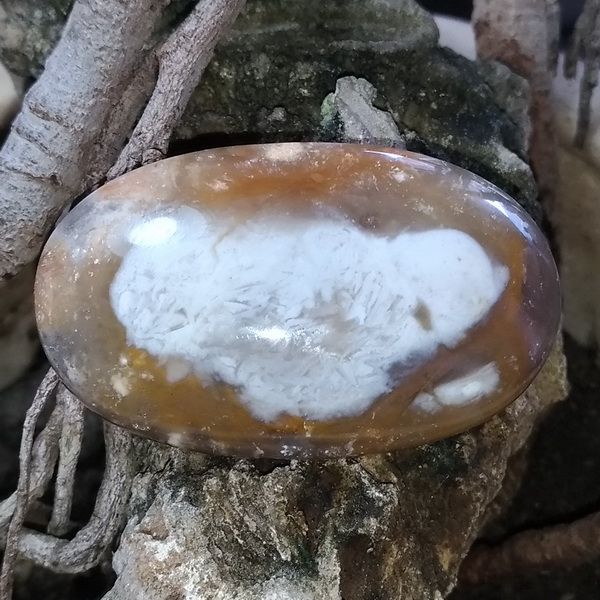 Mustika Kantong Semar Putih Koleksi Sesepuh - Pusaka Dunia