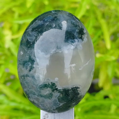 Mustika Hijau Lumut Laut Kidul - Pusaka Dunia