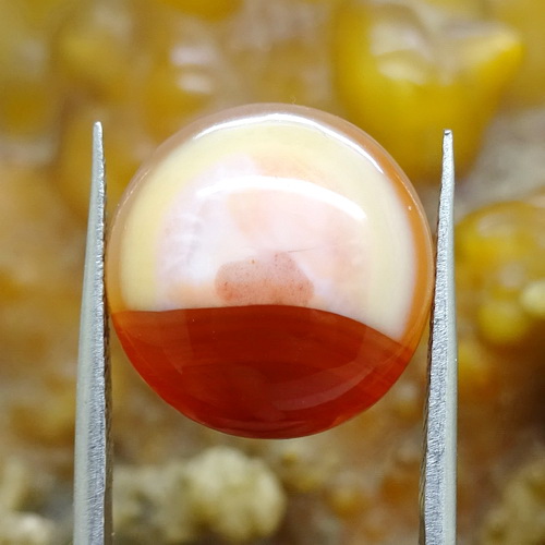 Mustika Segoro Geni Perangsang Sex - Pusaka Dunia