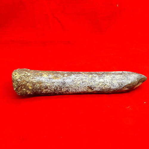 Pusaka Fosil Langka Cula Badak - Pusaka Dunia