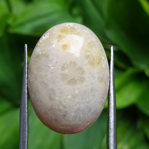 Batu Mustika Pemikat Pusaka Dunia - Pusaka Dunia