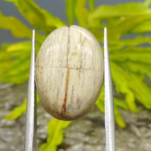 Batu Mustika Kendit Putih Pemutus Cinta Pusaka Dunia - Pusaka Dunia