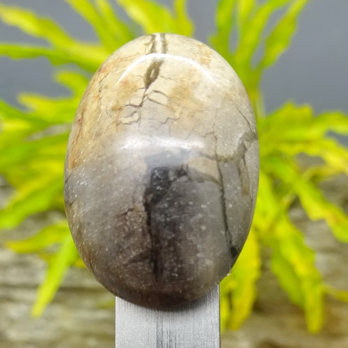 Batu Mustika Pelarisan Bodang Legi Pusaka Dunia - Pusaka Dunia