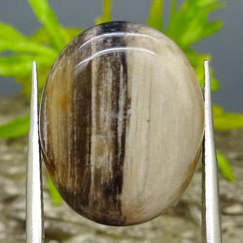 Batu Mustika Pelet Surik Wangsa Pusaka Dunia - Pusaka Dunia