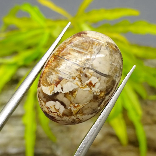 Batu Mustika Kerejekian Tapak Kera Pusaka Dunia - Pusaka Dunia