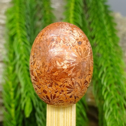 Batu Mustika Pesugihan Bala Tawon Pusaka Dunia - Pusaka Dunia