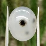 Mustika Khodam Lobster Hitam