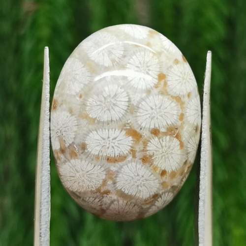 Batu Mustika Penglarisan Simba Teratai Pusaka Dunia - Pusaka Dunia