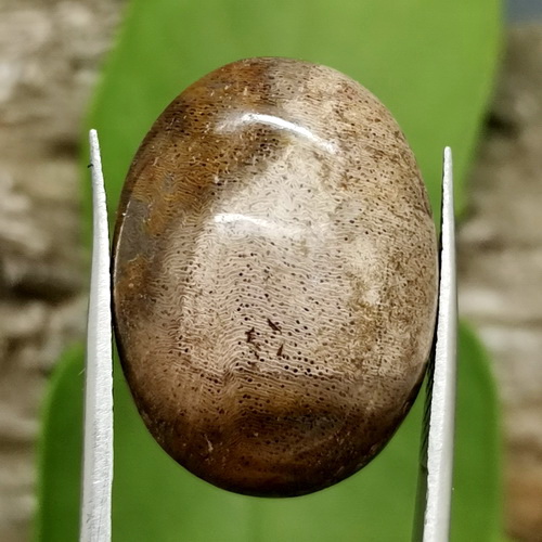 Batu Mustika Lembu Sekilan Keramat - Pusaka Dunia