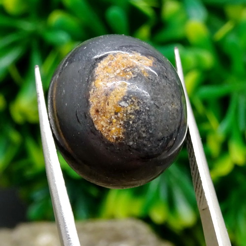 Batu Mustika Sukses Ternak Lele Pusaka Dunia - Pusaka Dunia