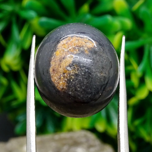 Batu Mustika Sukses Ternak Lele Pusaka Dunia - Pusaka Dunia