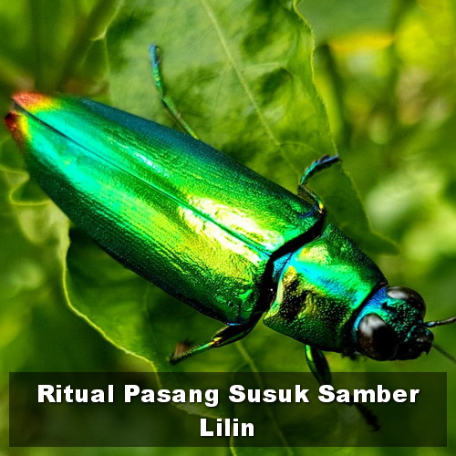 Ritual Pasang Susuk Samber Lilin - Pusaka Dunia