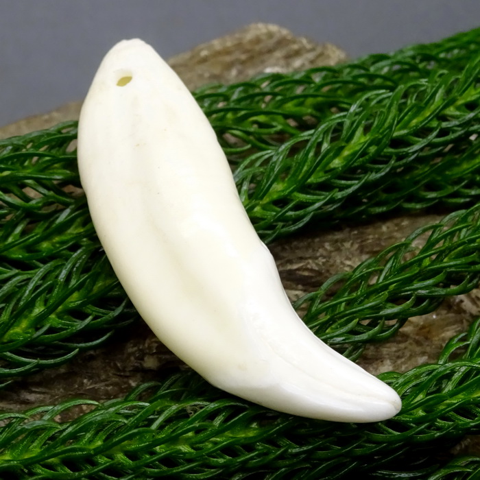 Pusaka Taring Macan Dahan Borneo - Pusaka Dunia