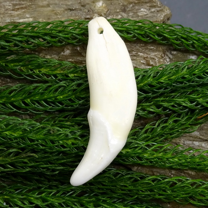 Pusaka Taring Macan Dahan Putih - Pusaka Dunia