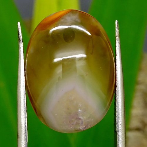 Batu Mustika Tunggak Semi - Pusaka Dunia