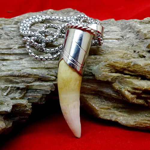 Pusaka Taring Buaya Putih Keramat Milik Sesepuh - Pusaka Dunia