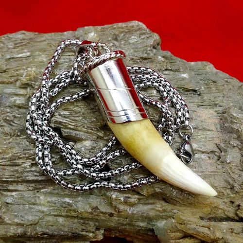 Pusaka Taring Buaya Putih Keramat Milik Sesepuh - Pusaka Dunia