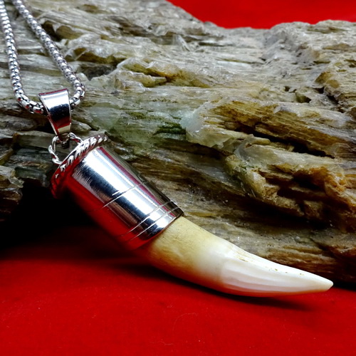 Pusaka Taring Buaya Putih Keramat Milik Sesepuh - Pusaka Dunia