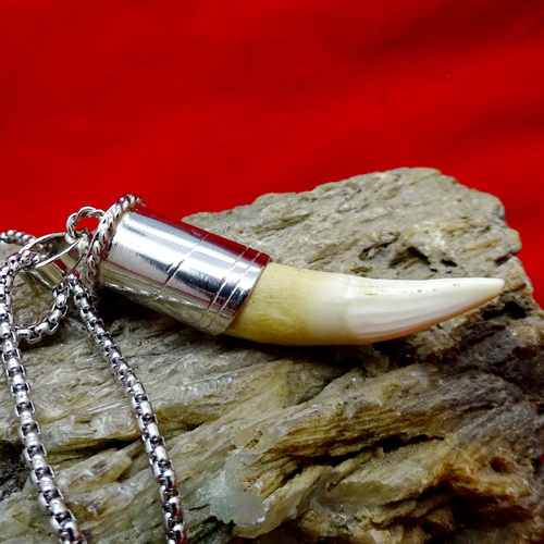 Pusaka Taring Buaya Putih Keramat Milik Sesepuh - Pusaka Dunia