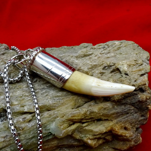 Pusaka Taring Buaya Putih Keramat Milik Sesepuh - Pusaka Dunia